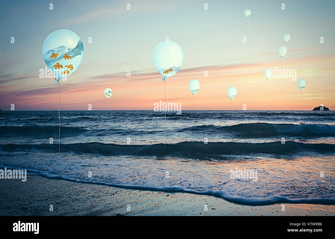 Balloon fish hi-res stock photography and images - Alamy