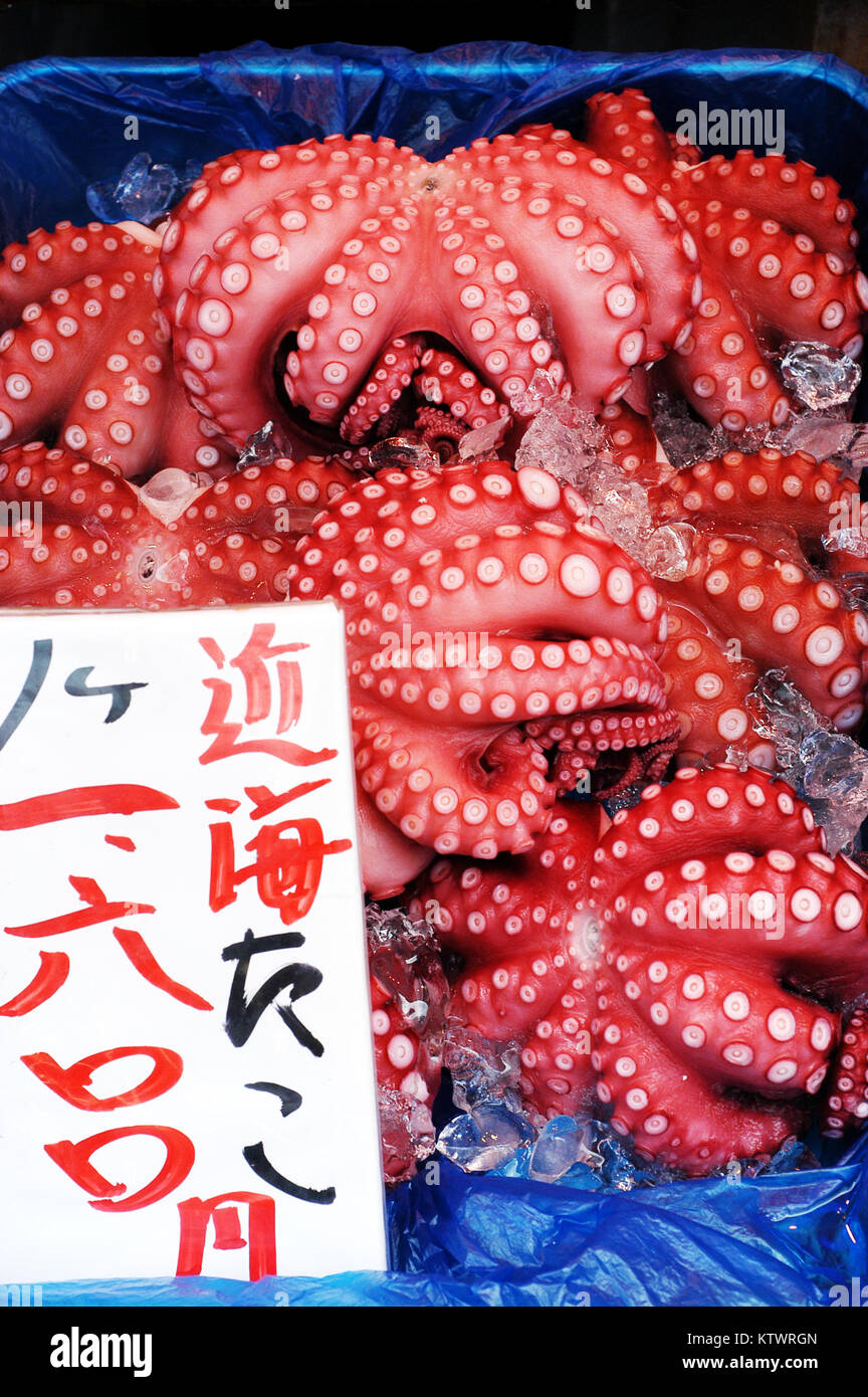 Octopus on a display - Tokyo - Japan Stock Photo - Alamy