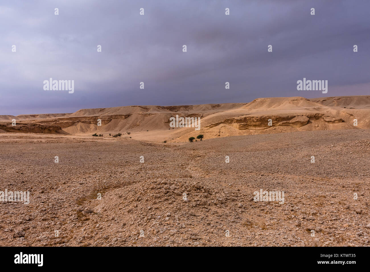A desert landscape east of Riyadh Stock Photo - Alamy