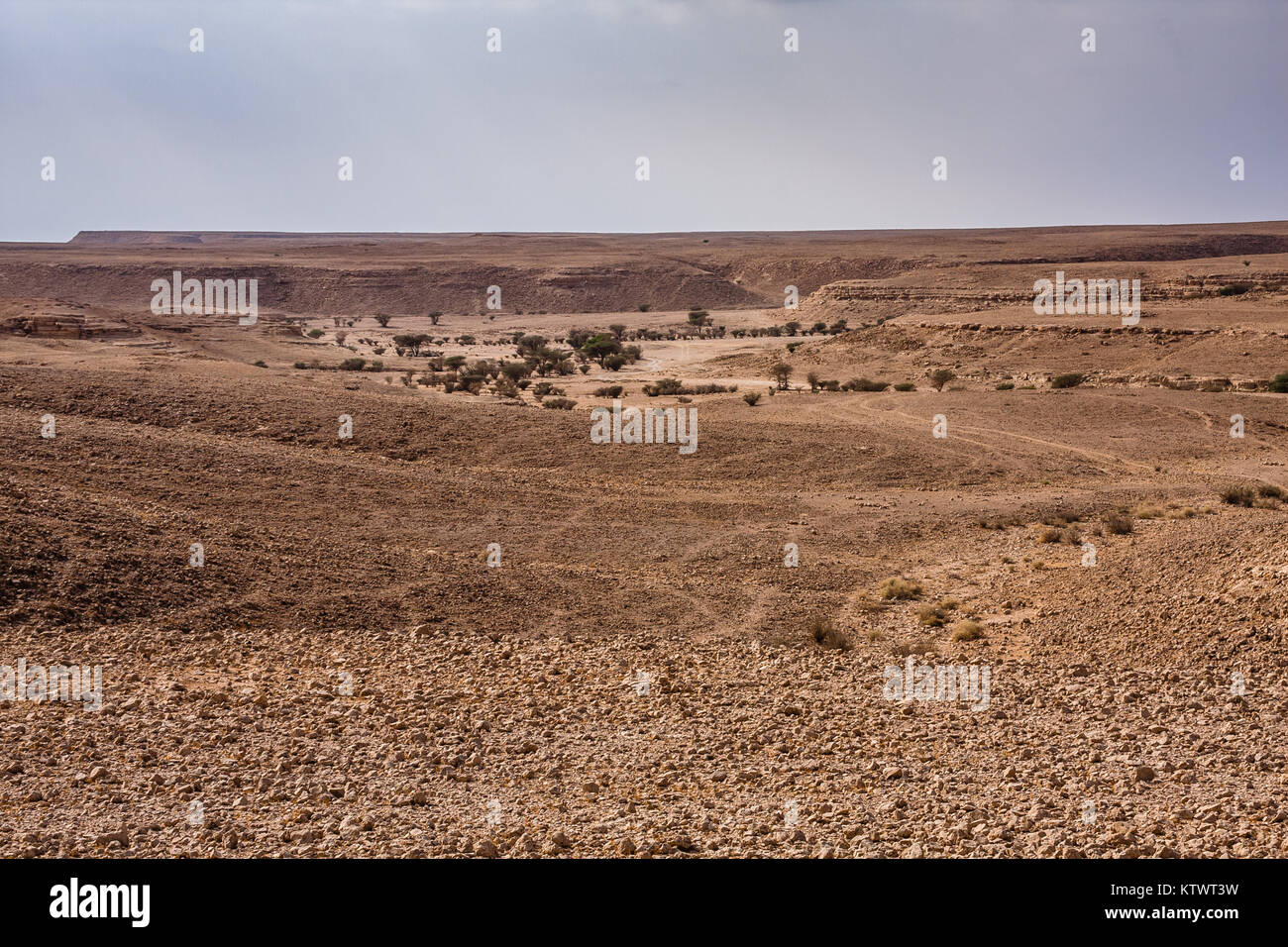 A desert landscape south-east of Riyadh, Saudi Arabia Stock Photo - Alamy