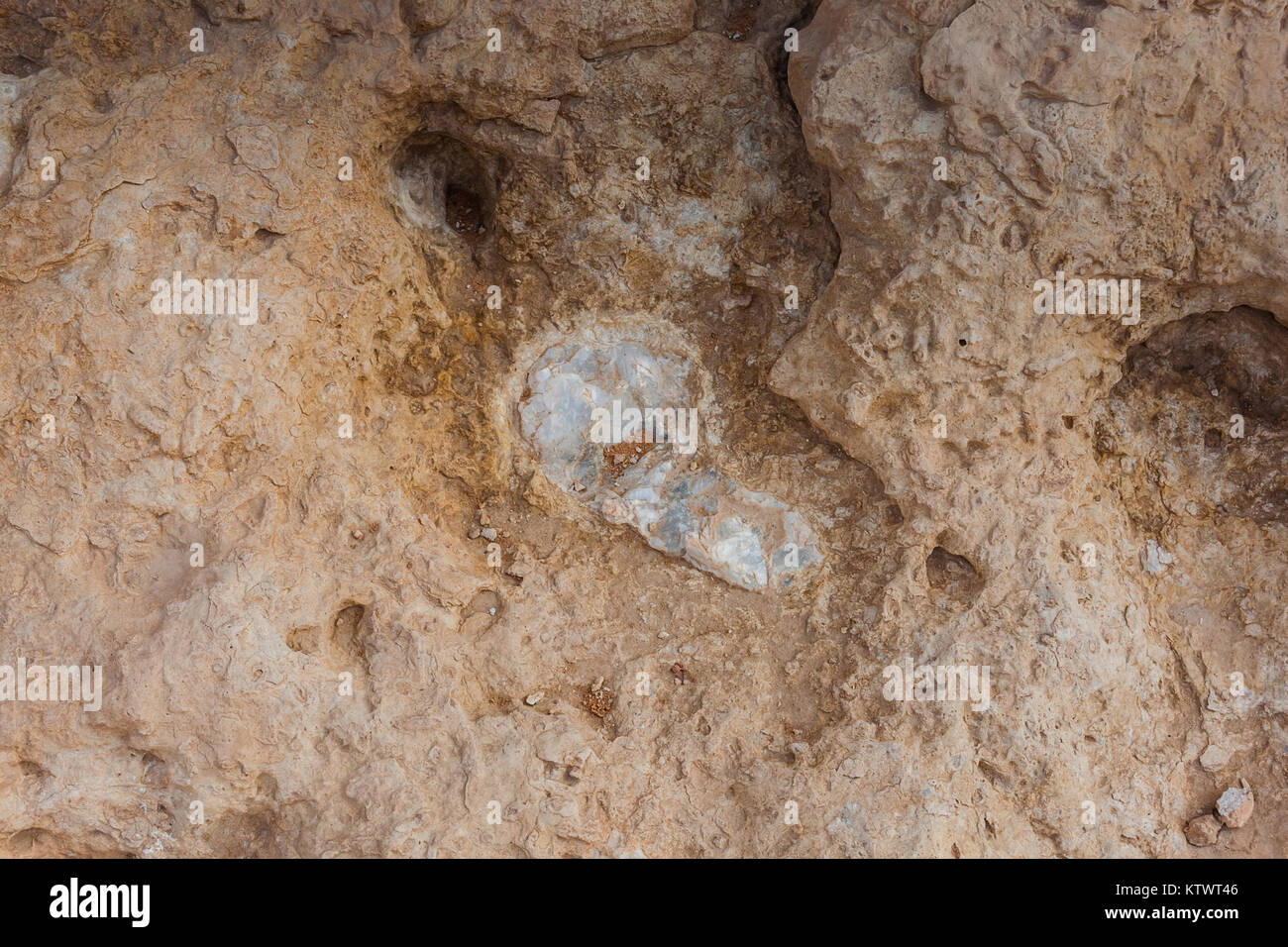 Quartz inclusions in limestone Stock Photo - Alamy