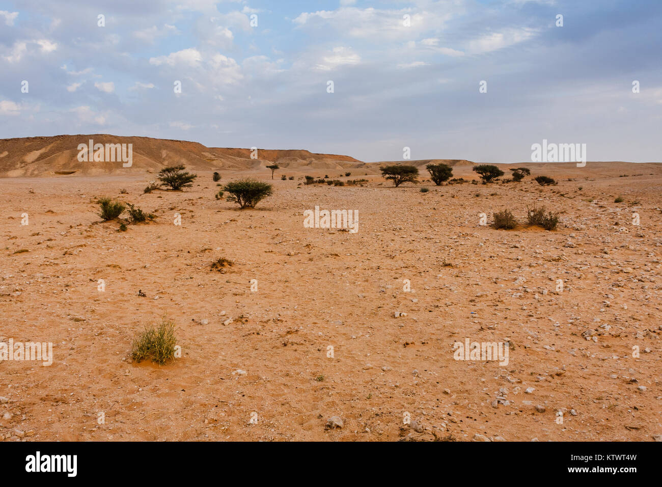 A desert landscape south-east of Riyadh, Saudi Arabia Stock Photo - Alamy