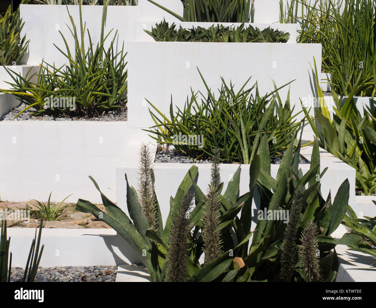 White planters hi-res stock photography and images - Alamy