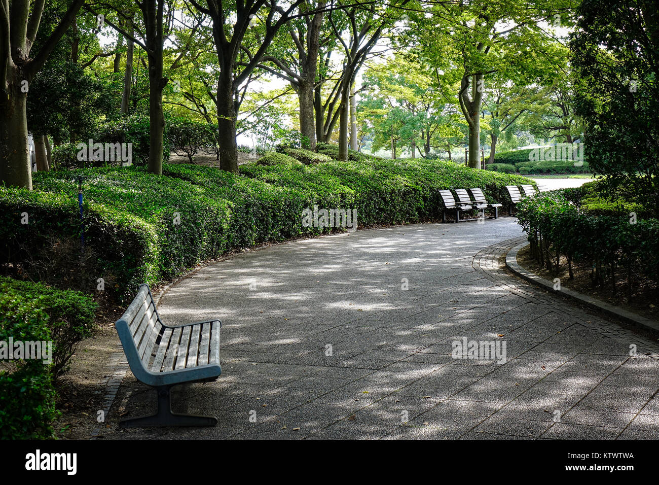 Green park with wooden benches at downtown in Okayama, Japan Stock ...