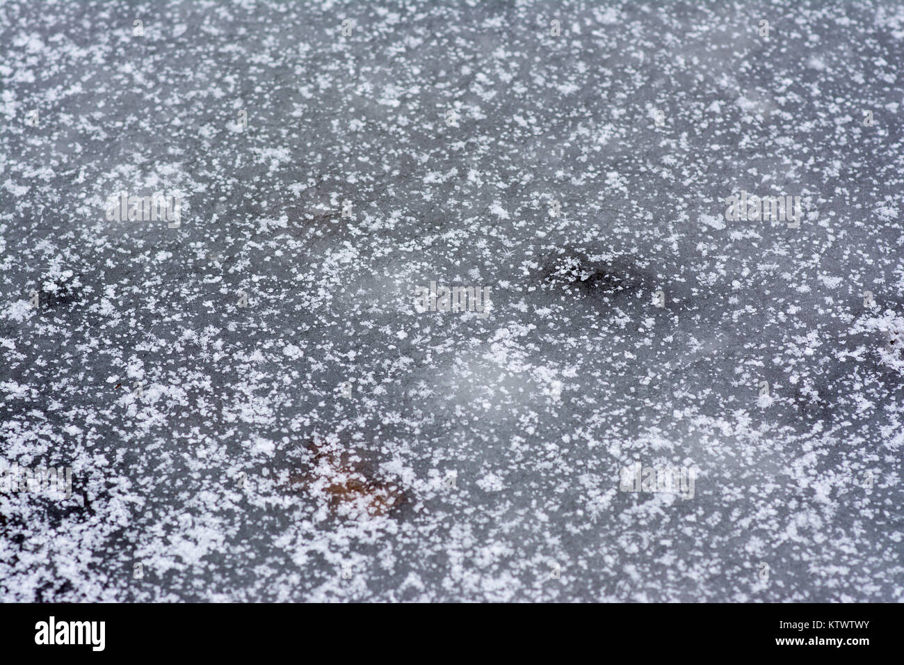 blue white ice covered in snow flakes Stock Photo - Alamy