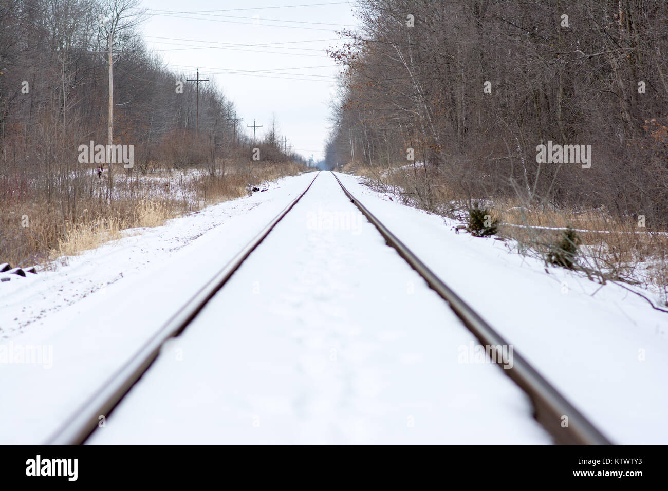 Grain silo railroad tracks hi-res stock photography and images - Alamy