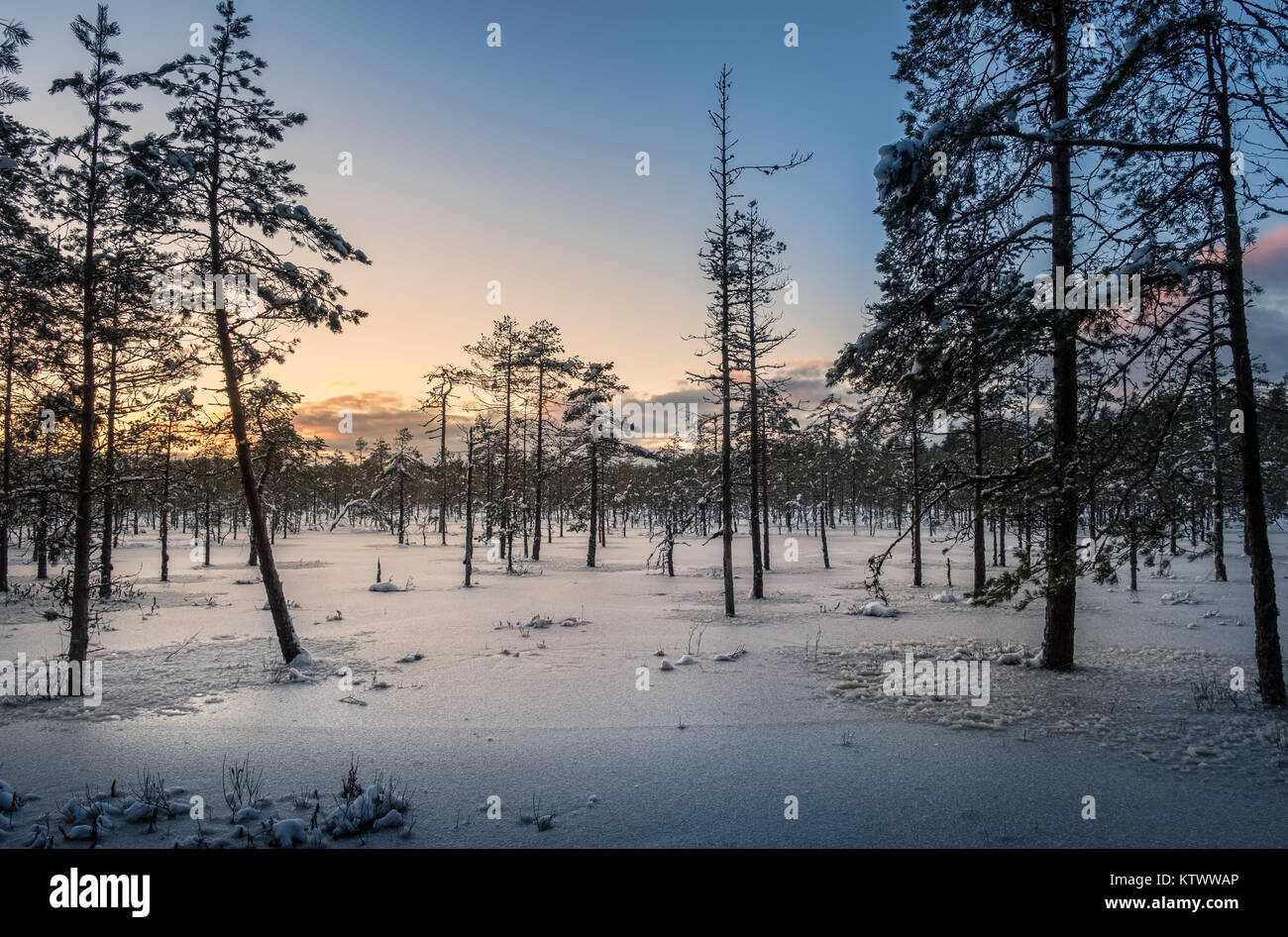 Wetland sunset hi-res stock photography and images - Alamy