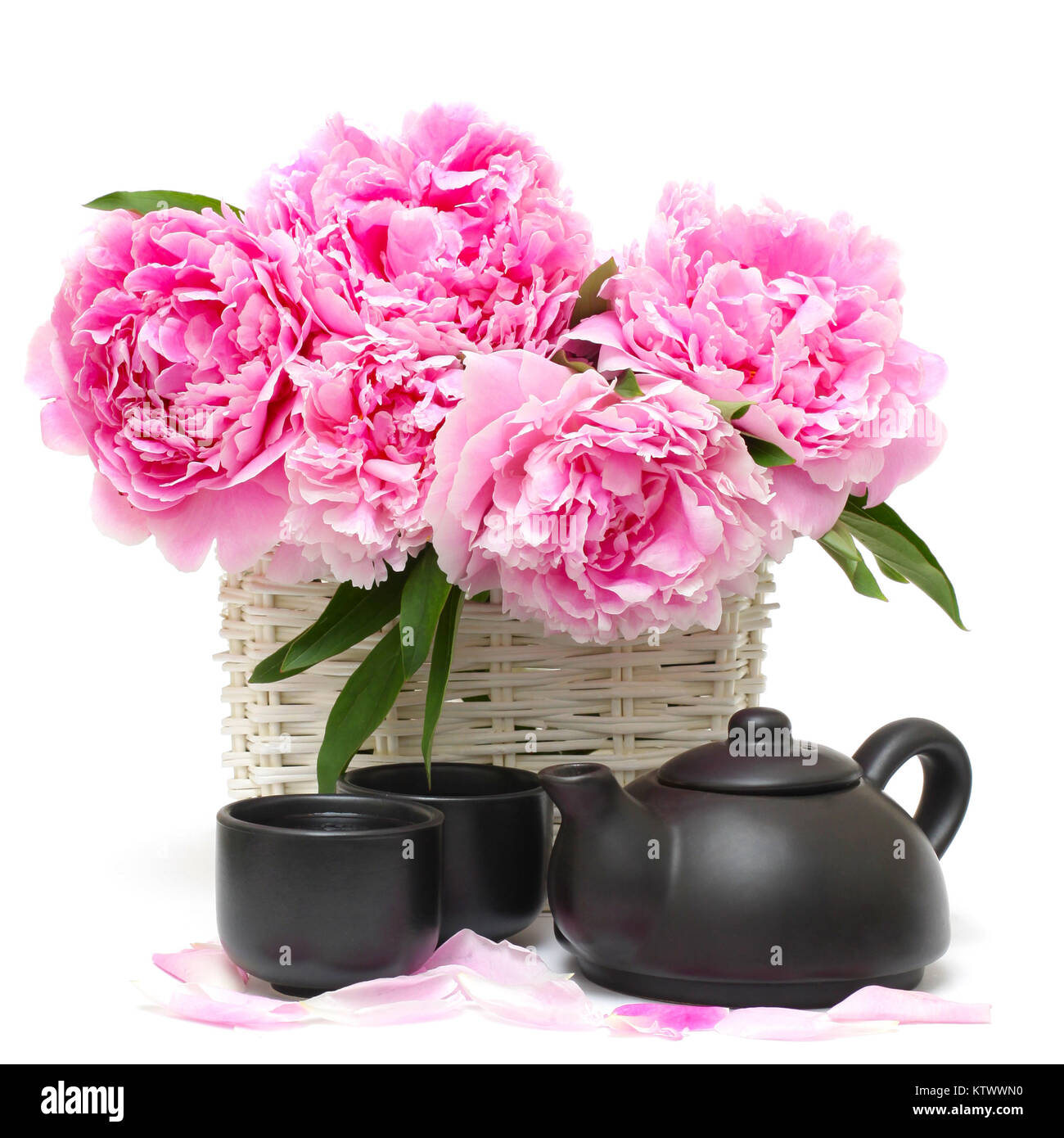 Chinese peony flower hi-res stock photography and images - Alamy