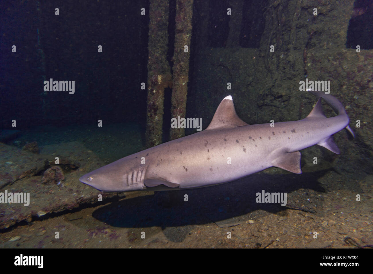 102 feet hi-res stock photography and images - Alamy