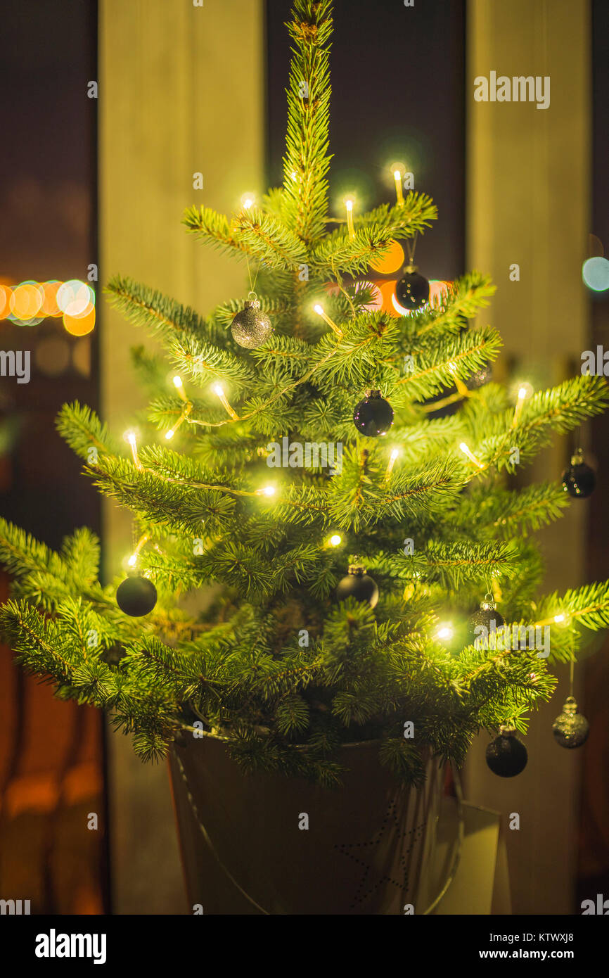 Christmas night illuminated tree hi-res stock photography and images ...