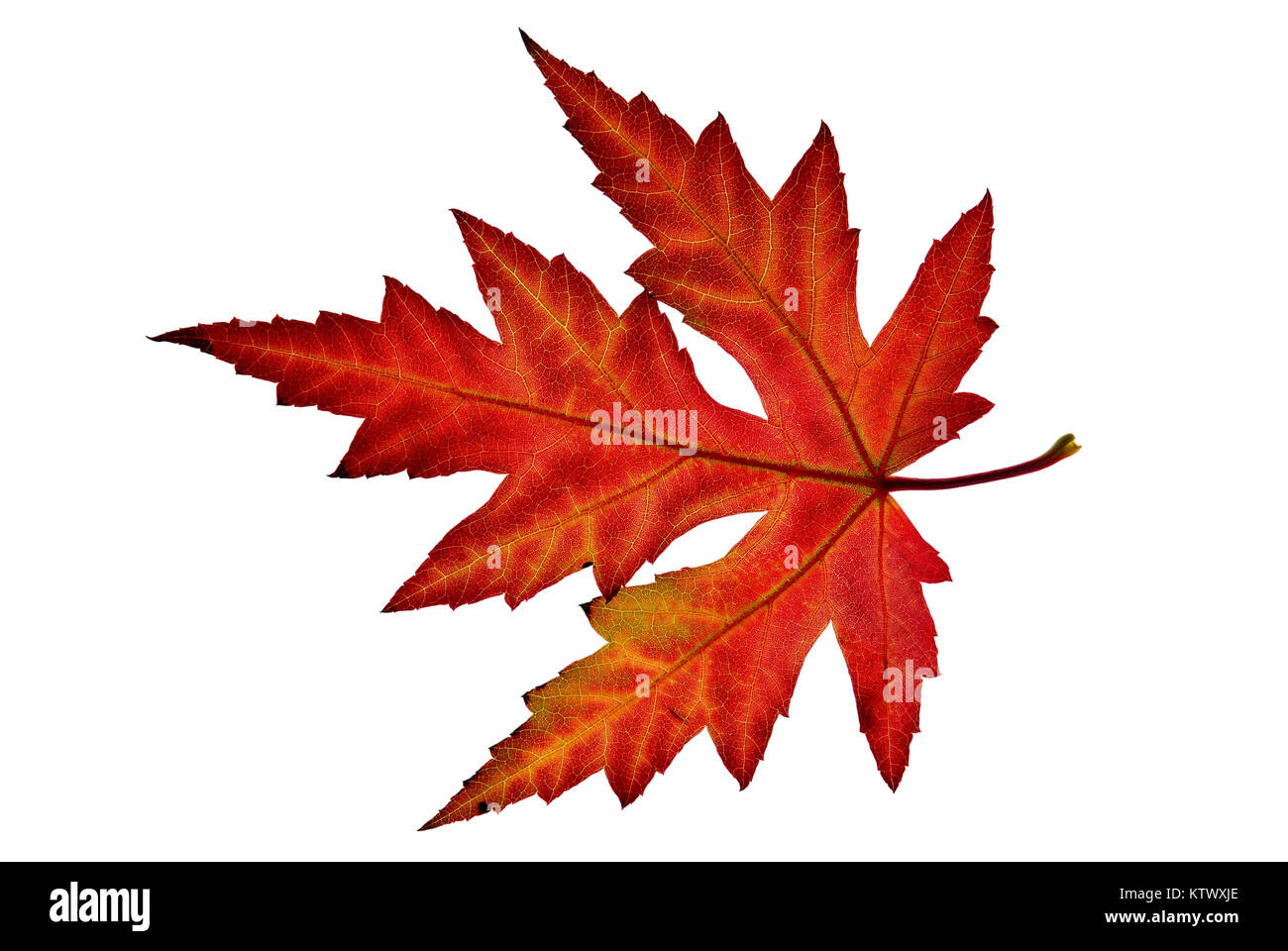 Turning fall Cut Out Stock Images & Pictures - Alamy