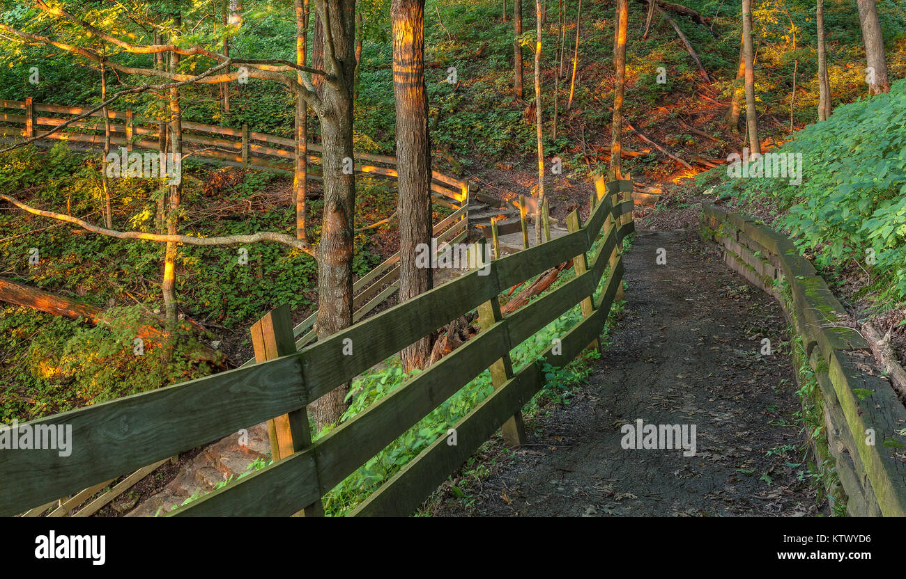 Canopy walkway nature trail hi-res stock photography and images - Alamy