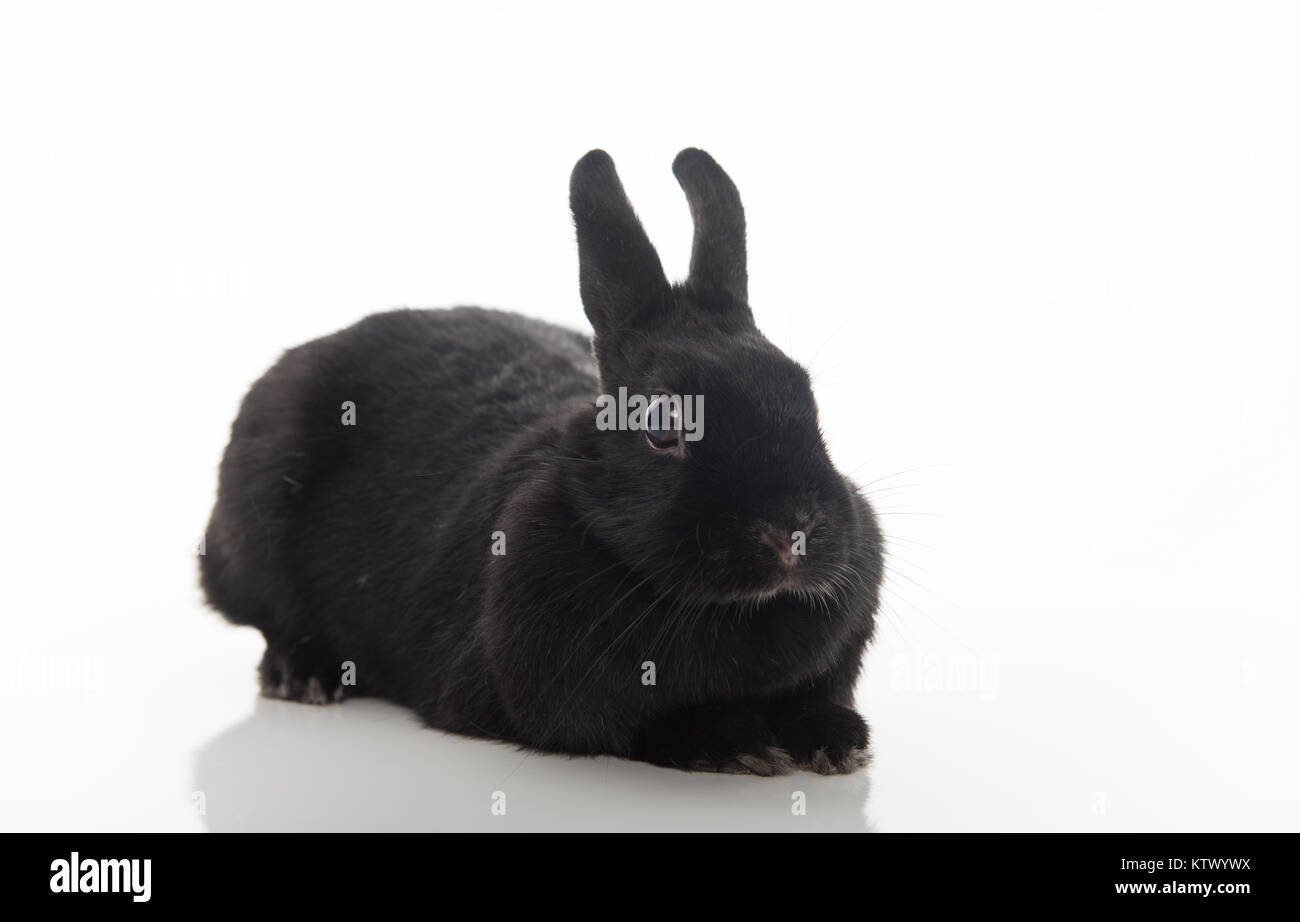 Close up room hi-res stock photography and images - Alamy