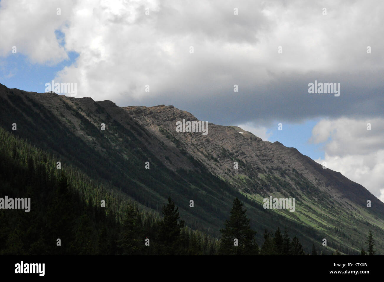 Treeline in Kananaskis Provincial Park, Alverta, Canada Stock Photo - Alamy