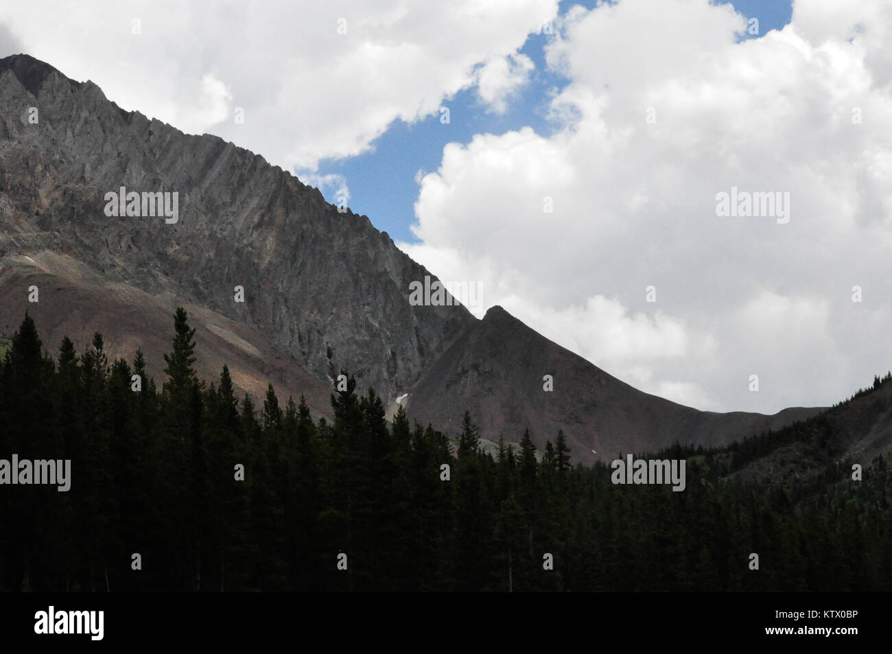 Treeline in Kananaskis Provincial Park, Alverta, Canada Stock Photo - Alamy