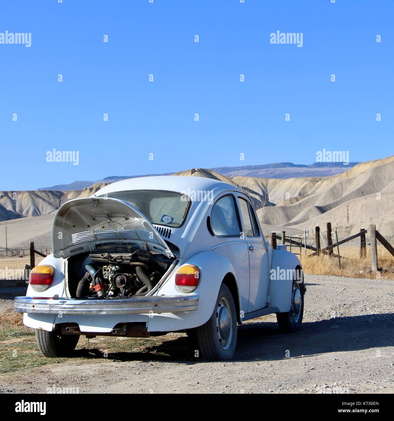 White volkswagen beetle hi-res stock photography and images - Alamy