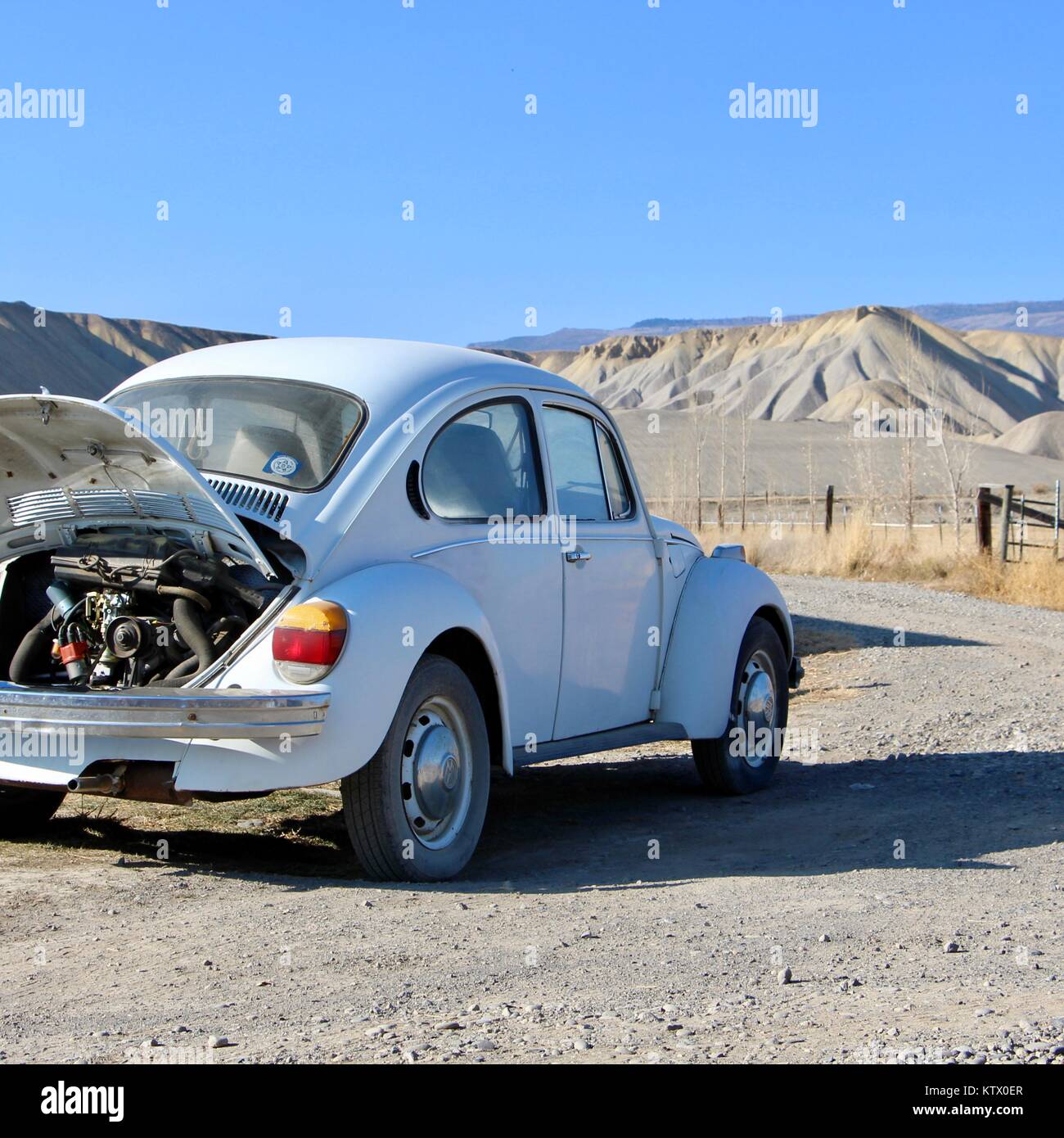 60s beetle hi-res stock photography and images - Alamy