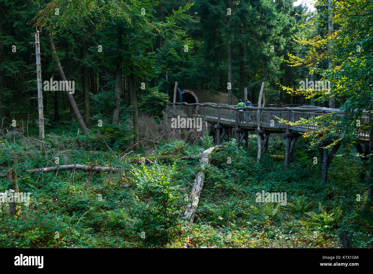 Der Wilde Weg Trail, Eifel National Park, North Eifel Territory, Eifel ...