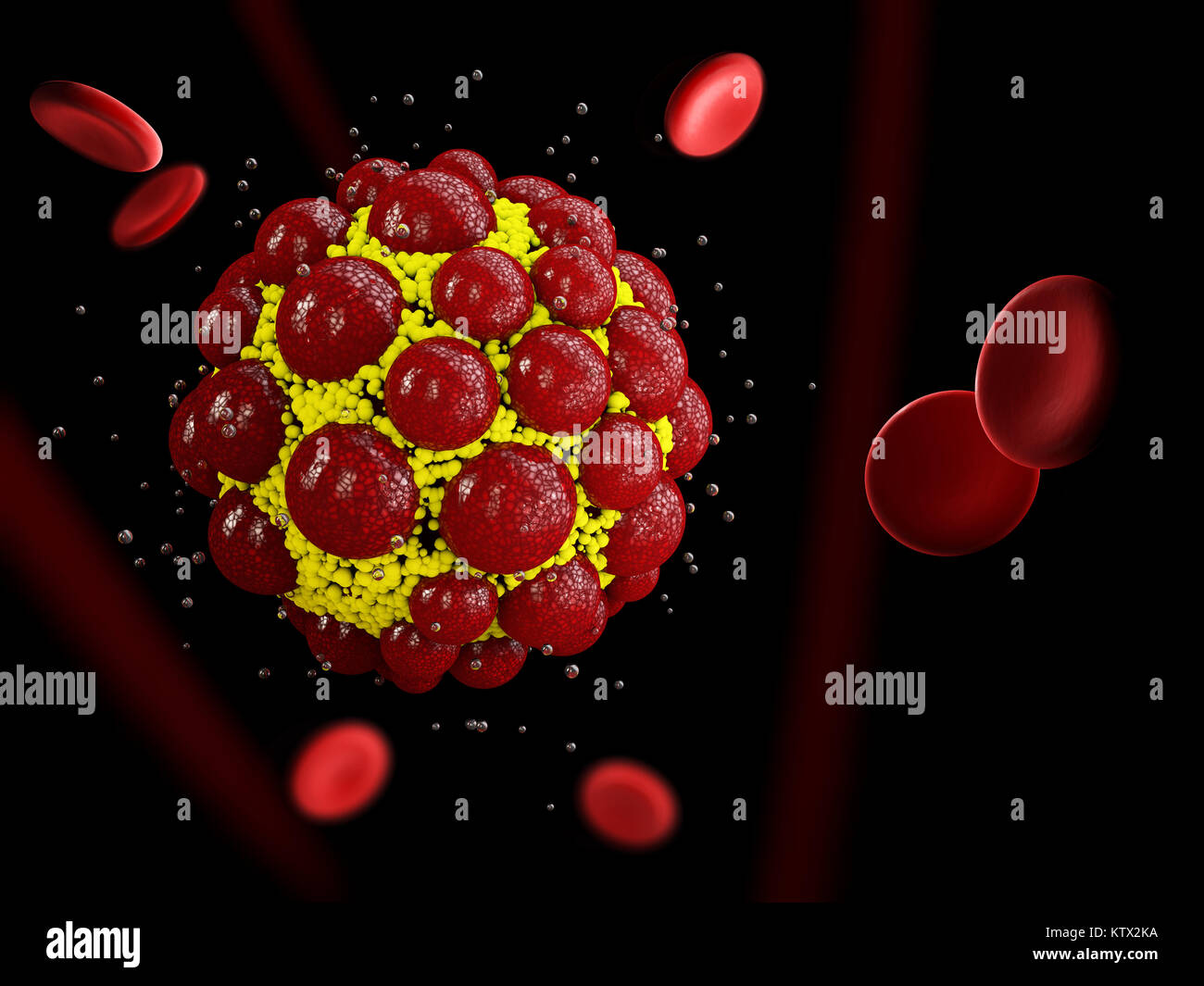 Cocci Bacteria High Resolution Stock Photography and Images - Alamy