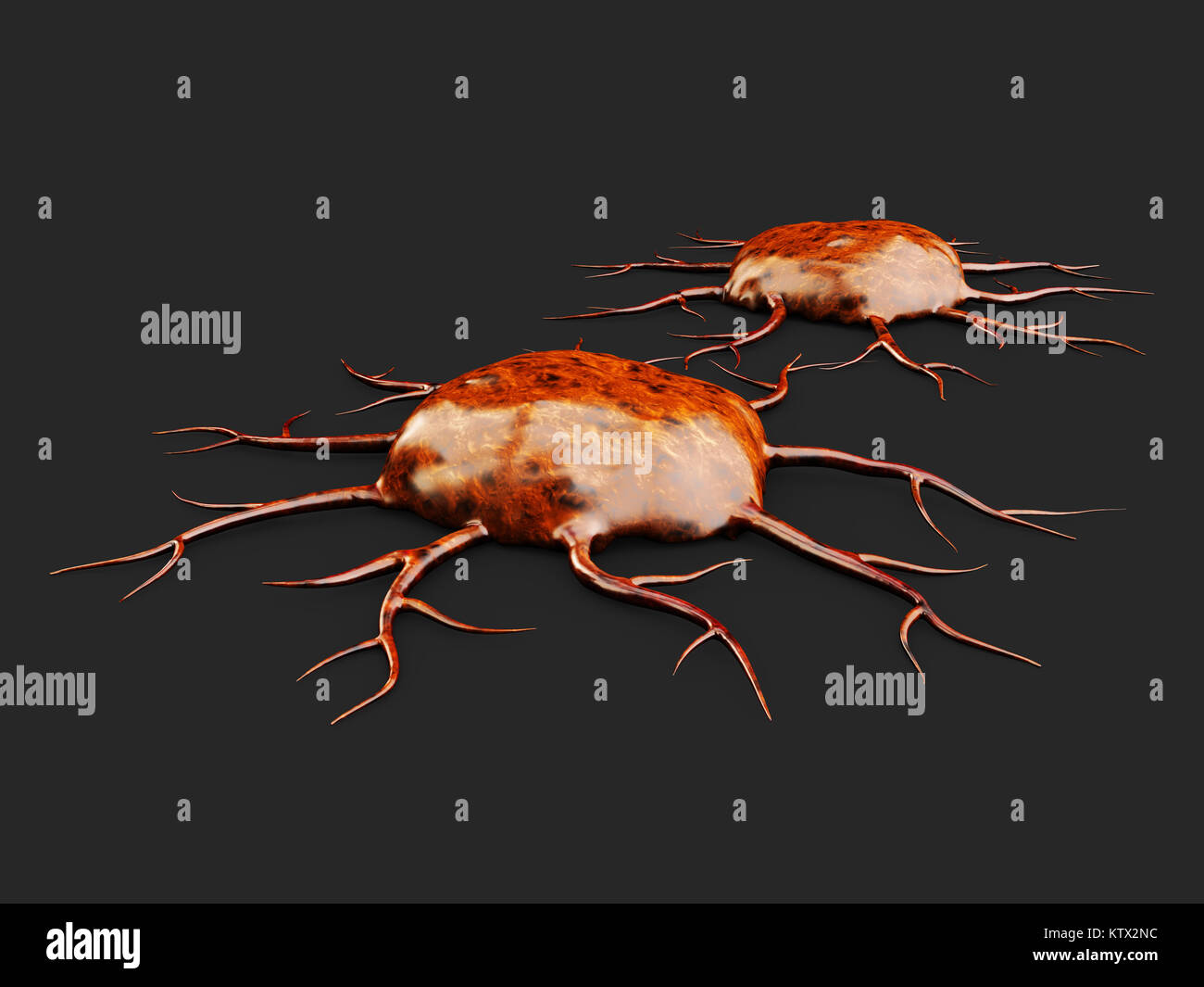 Two cancer cells, isolated dark background. 3d Illustration Stock Photo ...