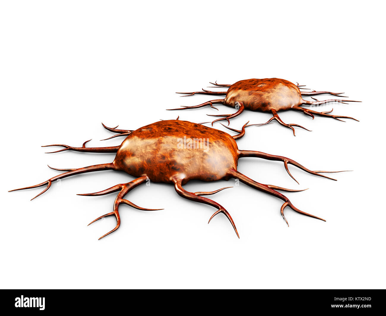 3d Illustration of Two cancer cells. isolated on white background Stock ...