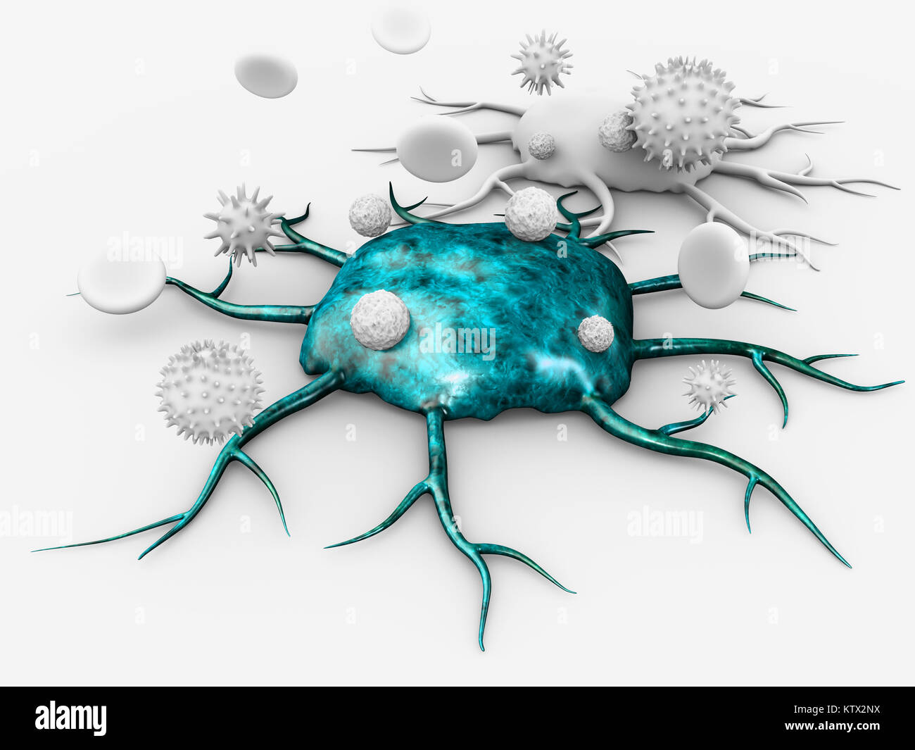 Human cell nucleus normal hi-res stock photography and images - Alamy