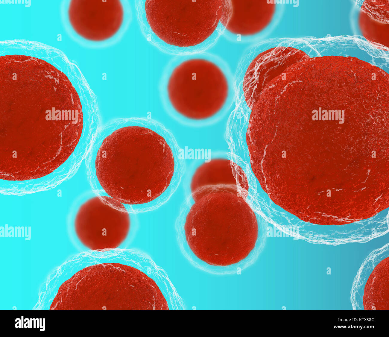 Electron microscope cell membrane hi-res stock photography and images ...