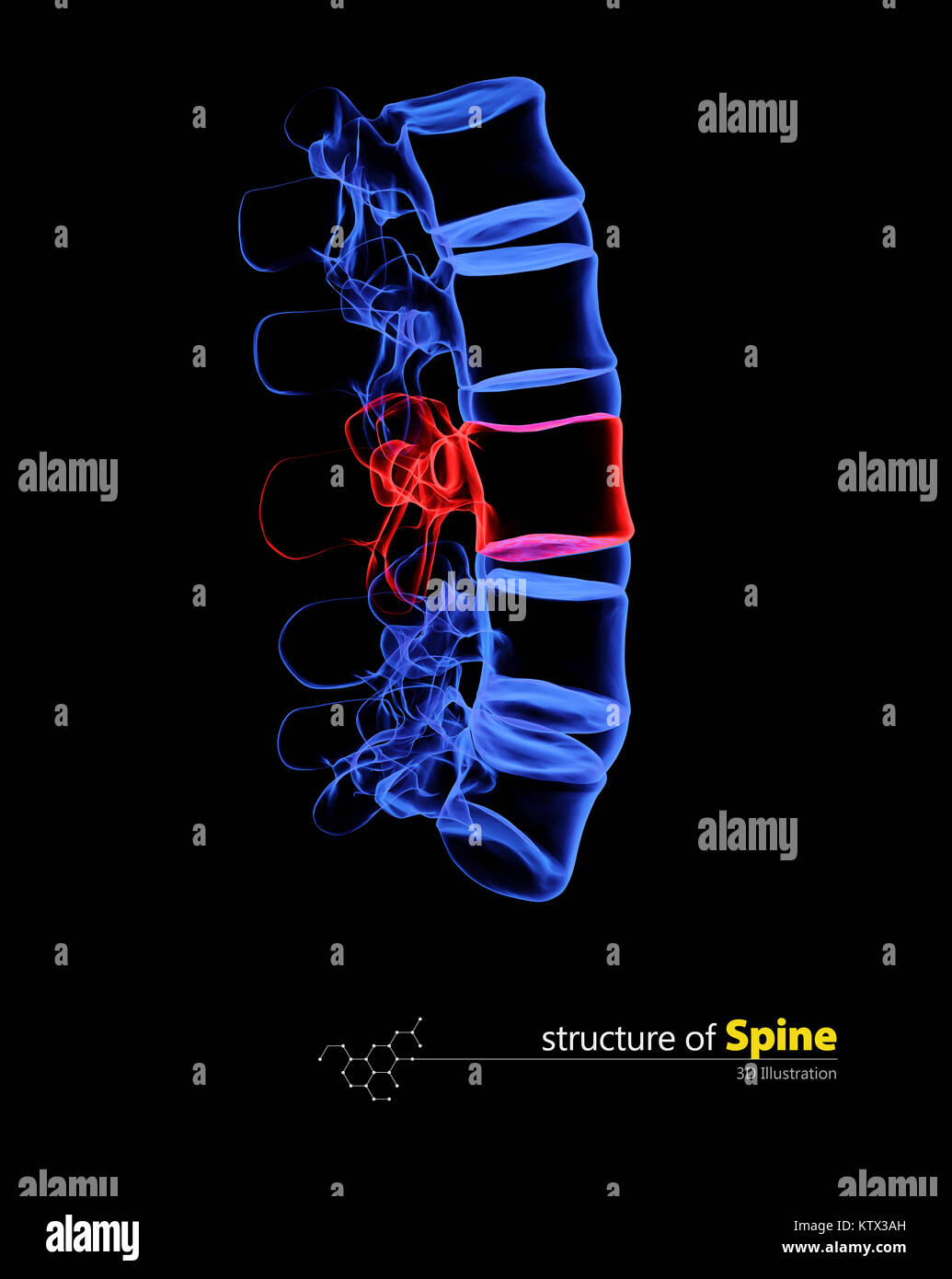 X-ray transparent spine, medical concept, 3D illustration Stock Photo ...