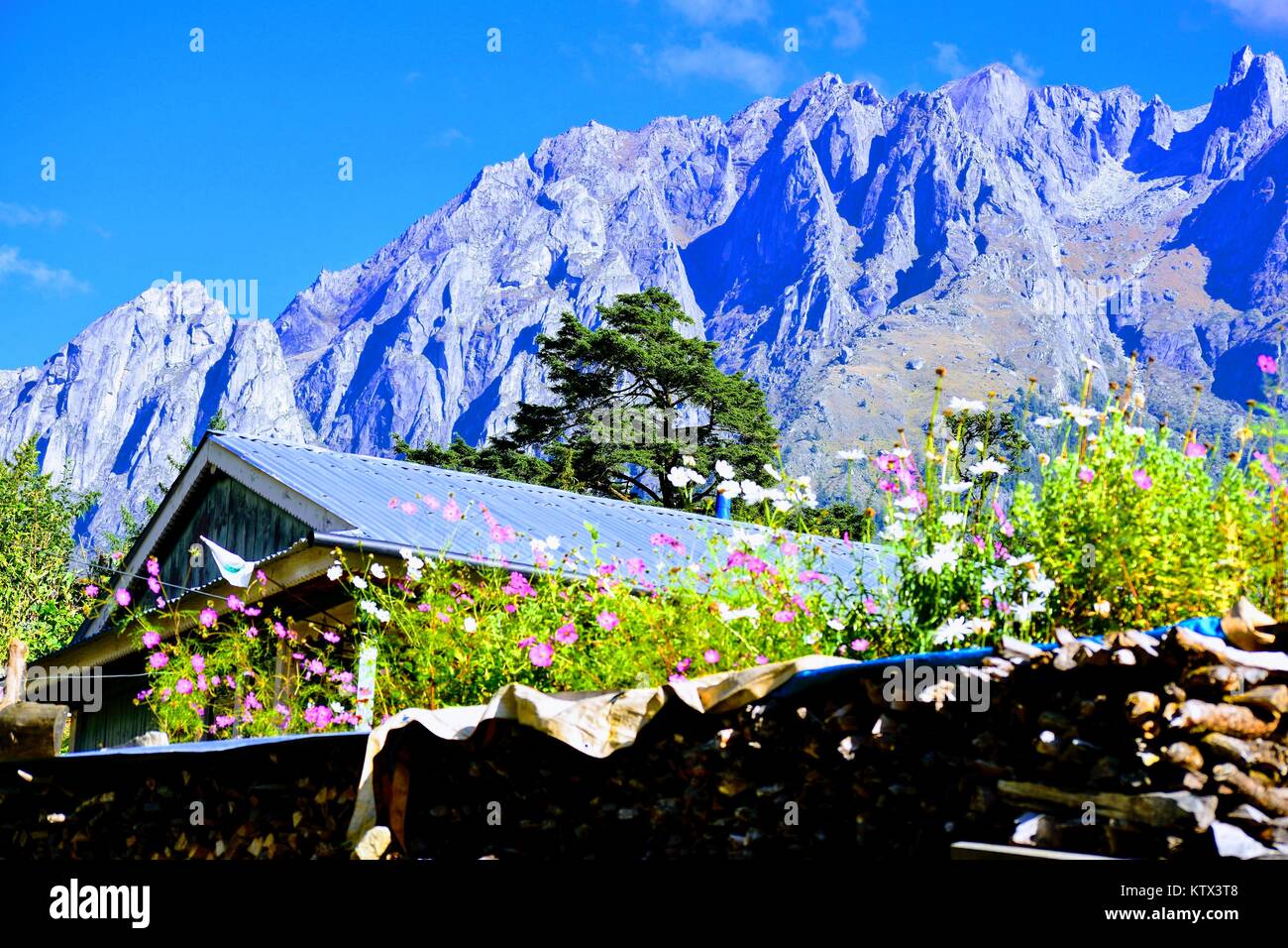 Lamjung hi-res stock photography and images - Alamy