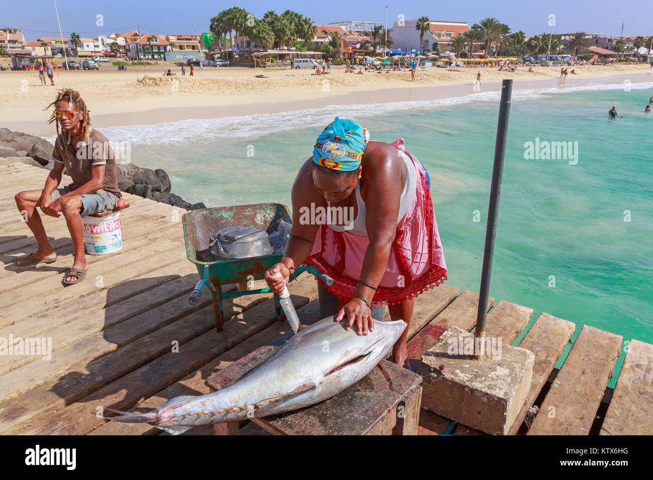 Local woman gutting a freshly caught tuna on the pier at Santa Maria ...