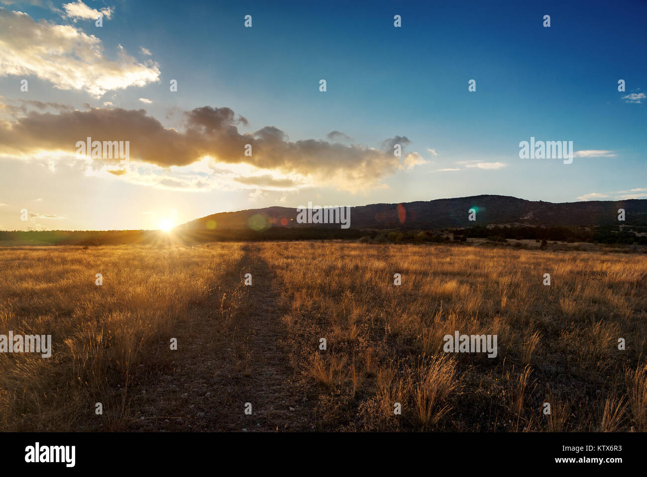 Beautiful orange autumn sunset in dry grass field with road. Mountain ...