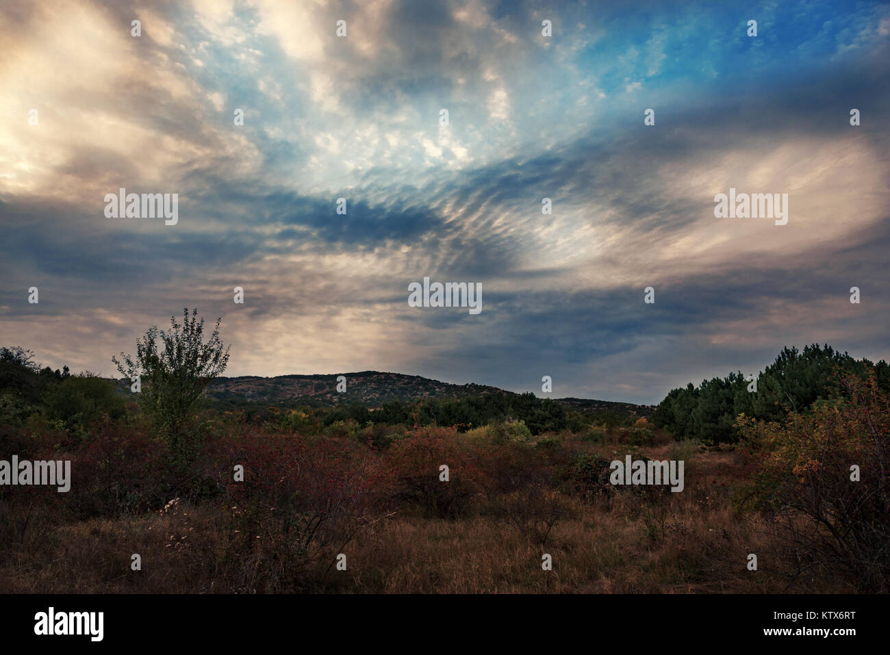 Sunset in the forest with dramatic sky Stock Photo - Alamy