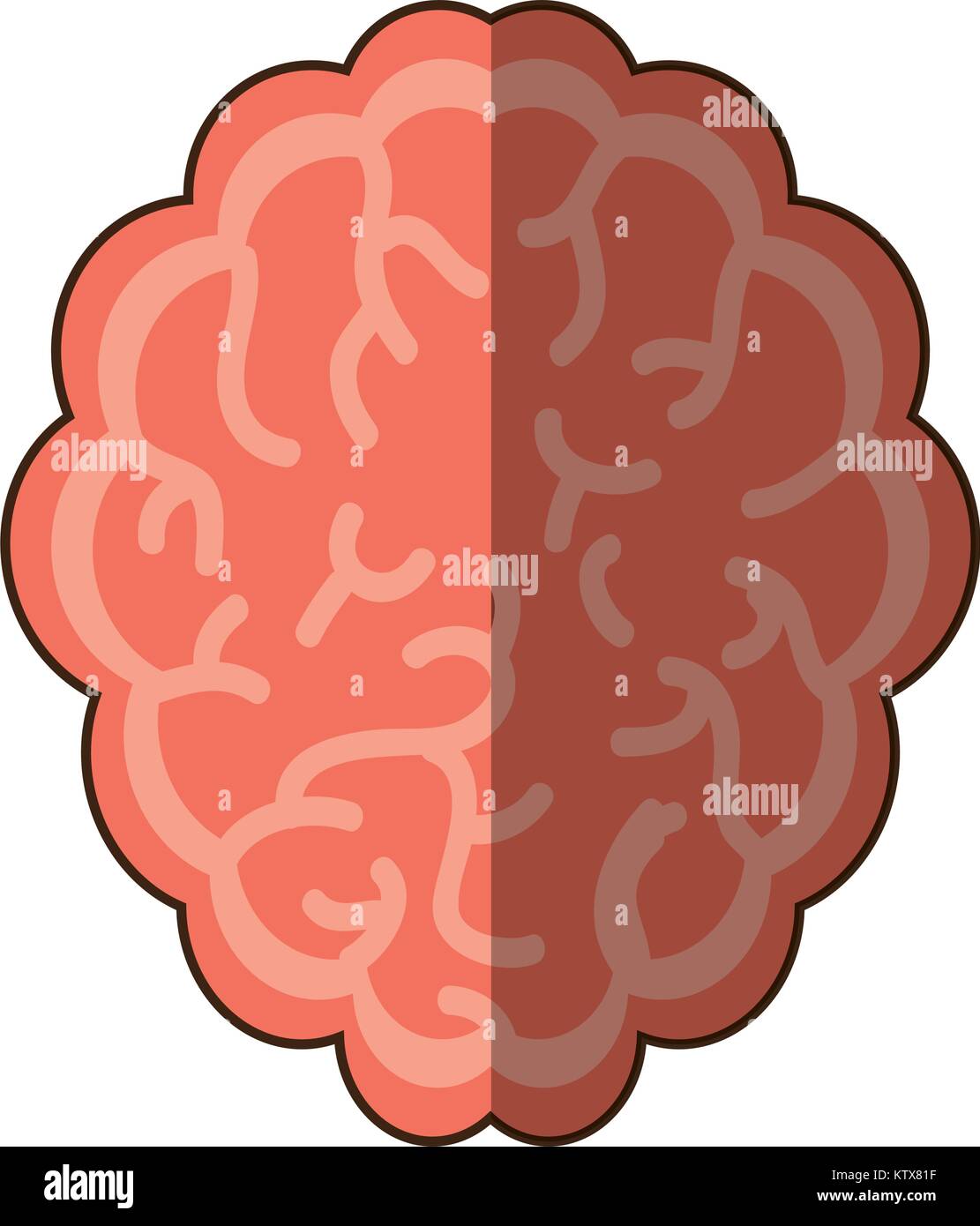 brain organ icon Stock Vector Image & Art - Alamy