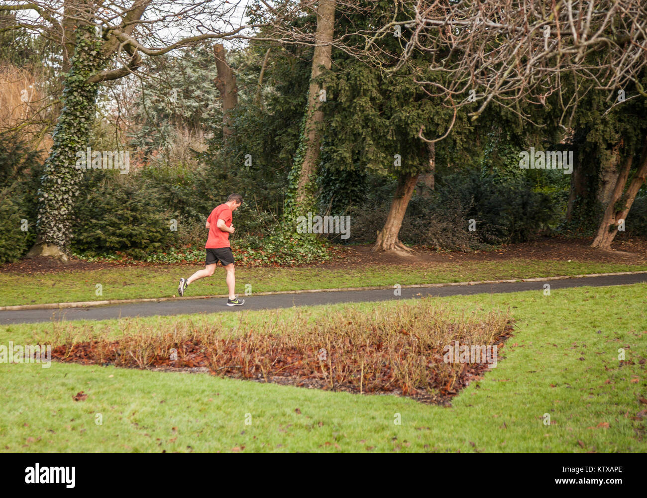 Man jogging through a park hi-res stock photography and images - Alamy