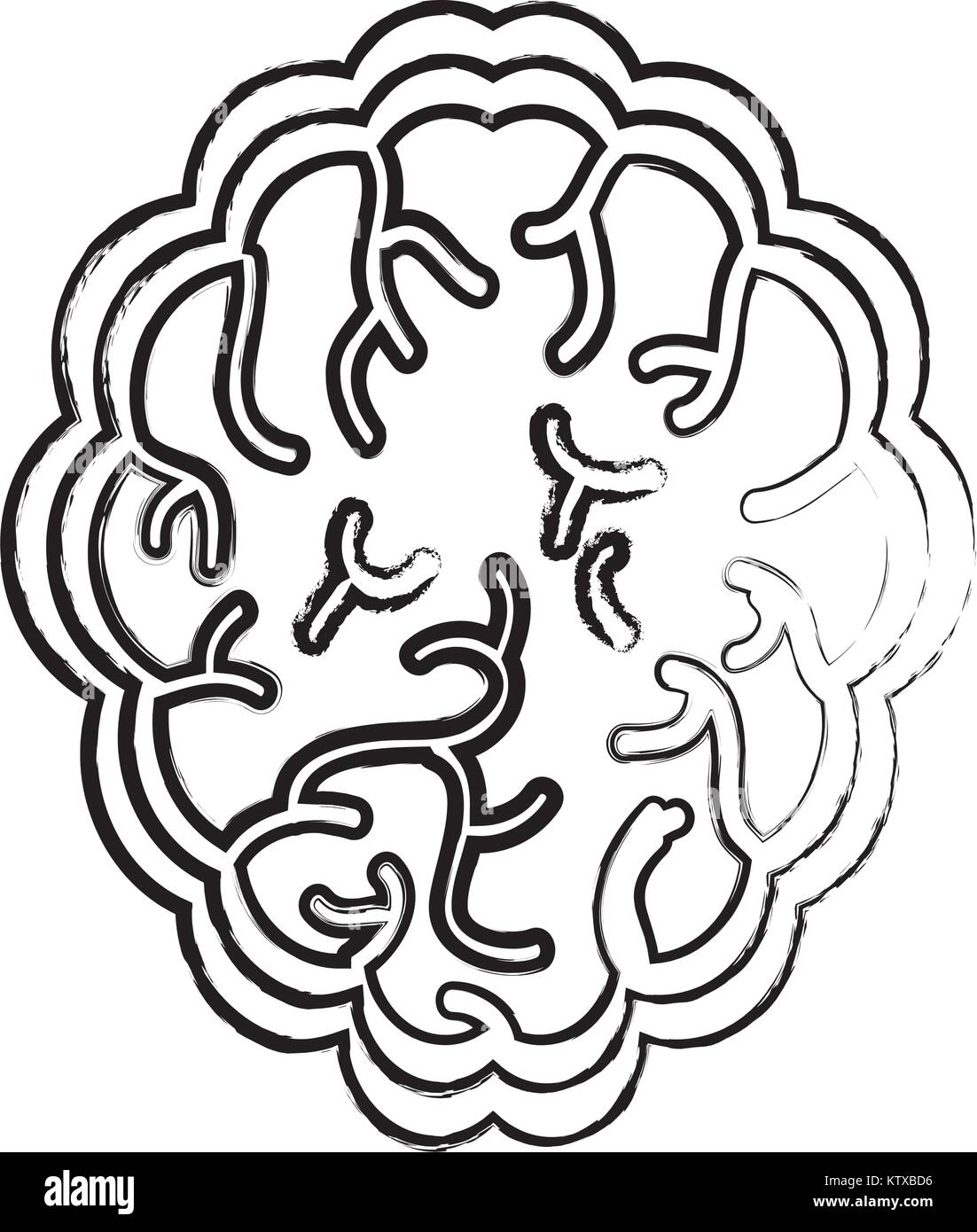 brain organ icon Stock Vector Image & Art - Alamy