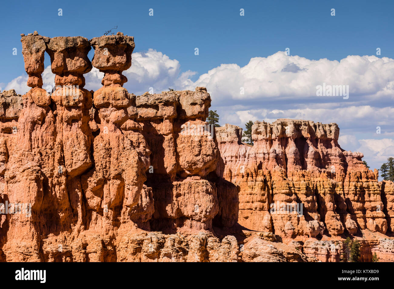 View of hoodoo formations from the Navajo Loop Trail in Bryce Canyon ...