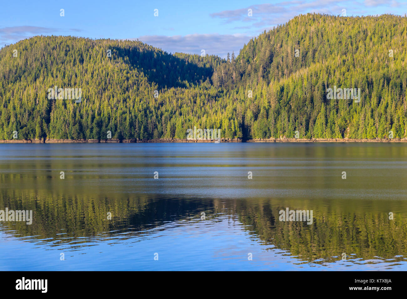 Early morning reflections in summer, Behm Canal, Misty Fjords National ...