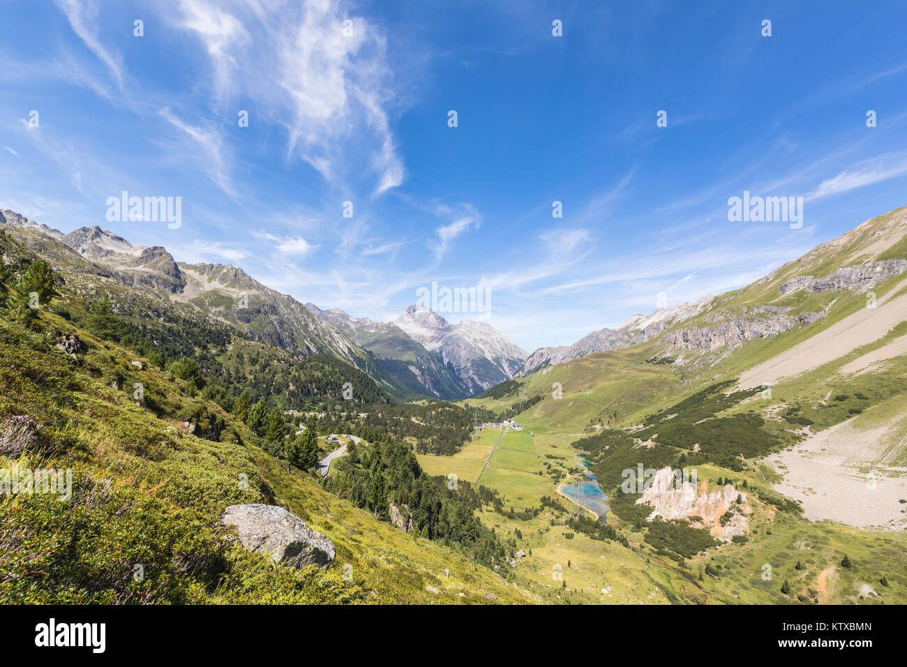 Green meadows surrounding the high peaks of the Swiss Alps, Albula ...