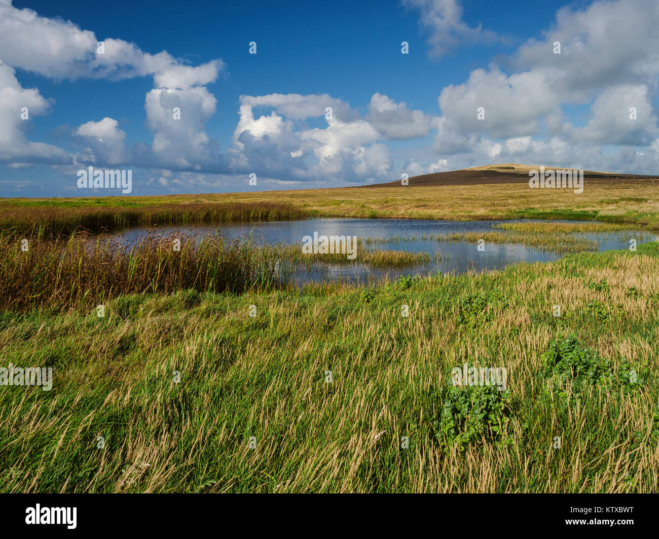 Loop Head, County Clare, Munster, Republic of Ireland, Europe Stock ...