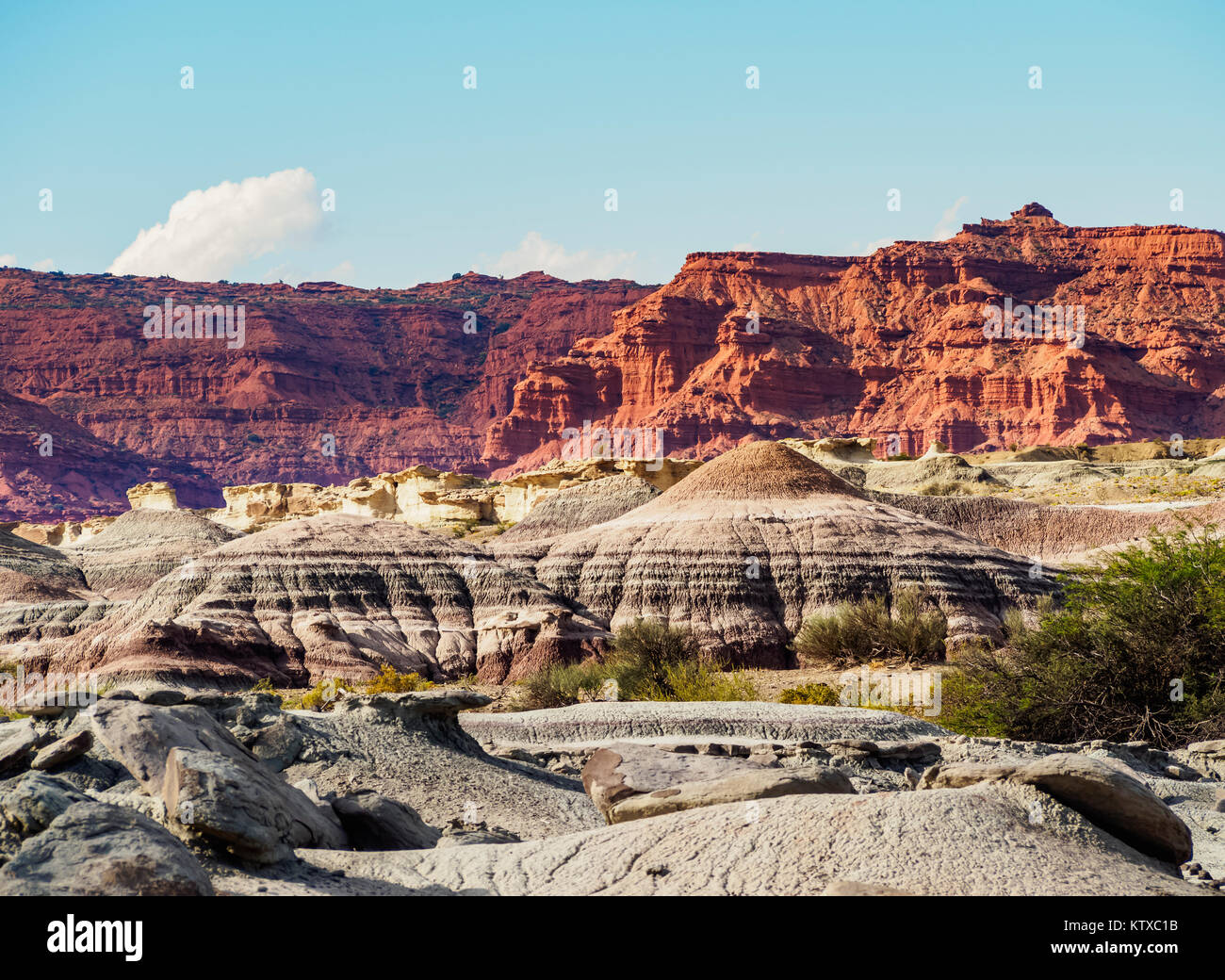 Ischigualasto Provincial Park, UNESCO World Heritage Site, San Juan ...
