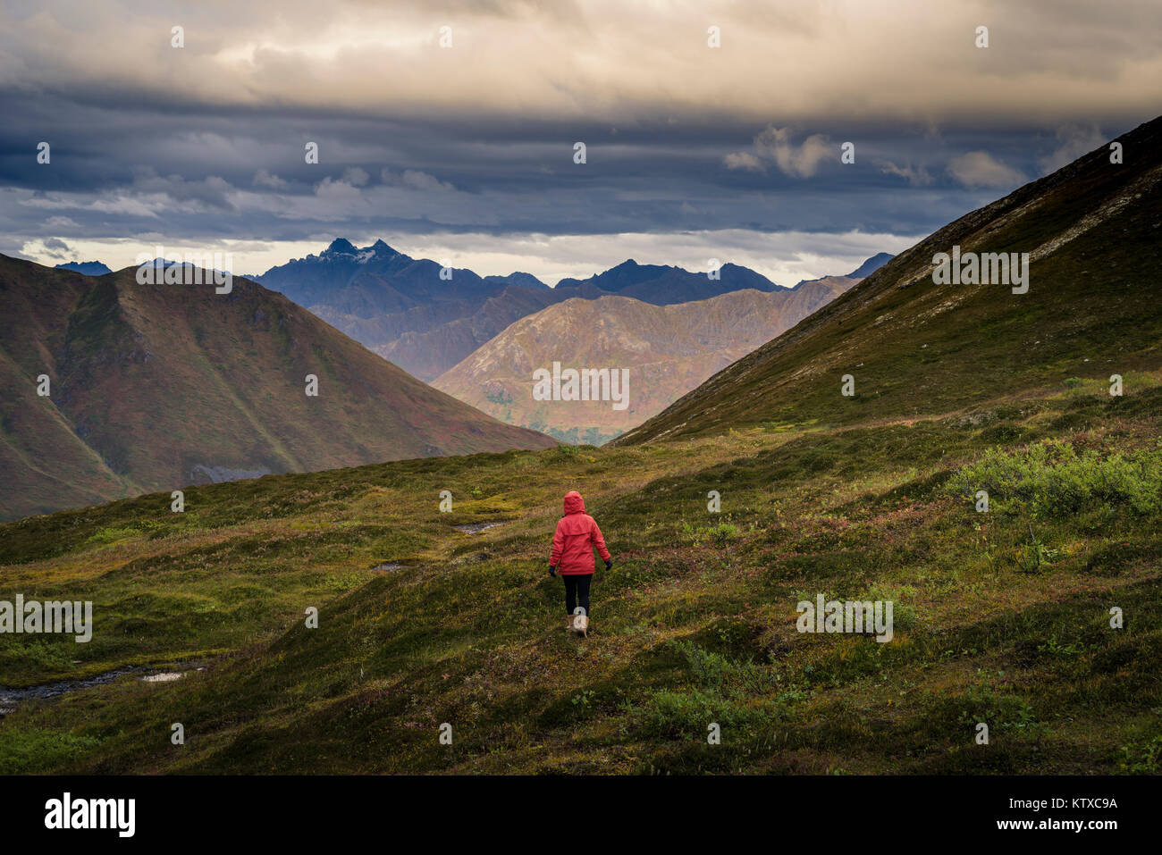 Lone hiker walks into Alaskan wilderness, Alaska, United States of ...