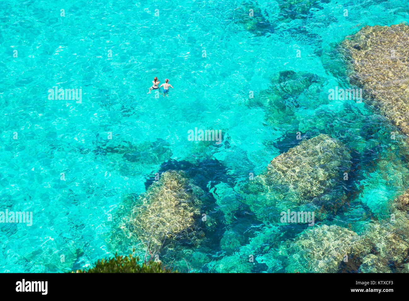 Coral Reefs Menorca Spain