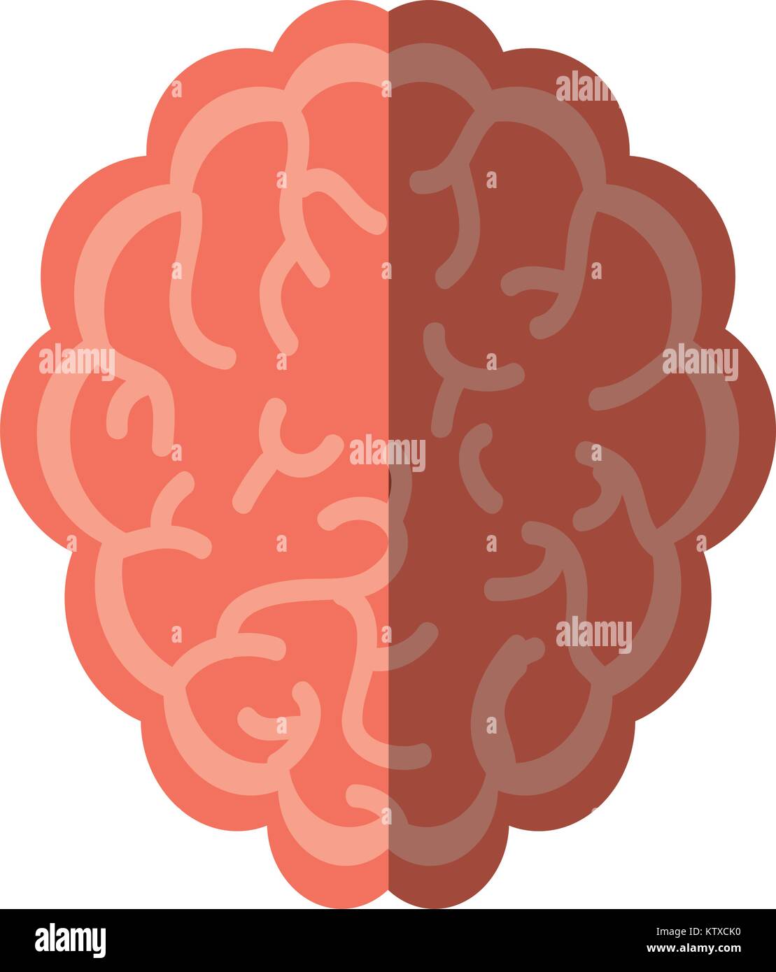 brain organ icon Stock Vector Image & Art - Alamy
