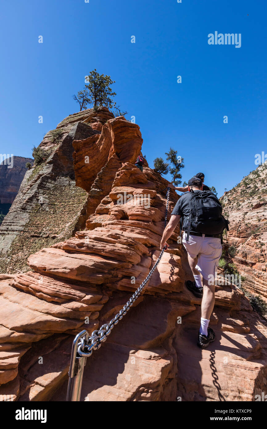 Hiking the Angel's Landing Trail in Zion National Park, Utah, United ...