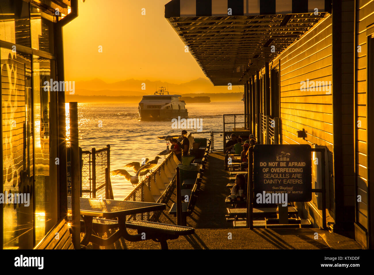 Bainbridge Ferry and seagulls on Pier 54 during the golden hour before ...
