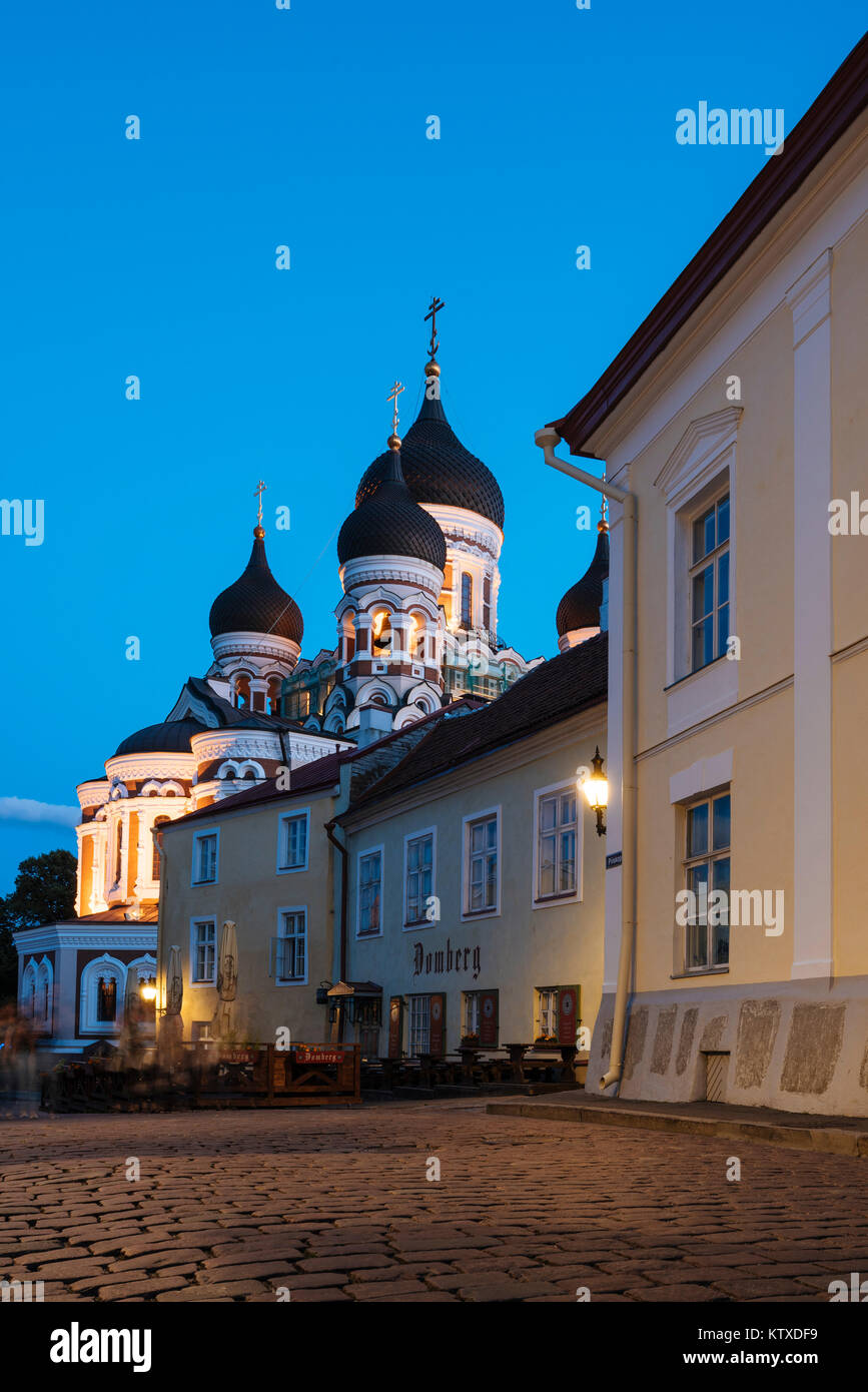 Exterior Of Russian Orthodox Alexander Nevsky Cathedral At Night