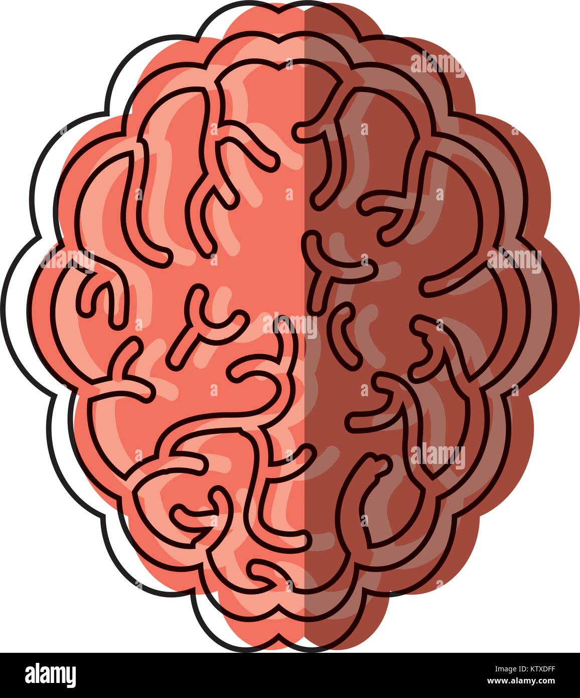 brain organ icon Stock Vector Image & Art - Alamy