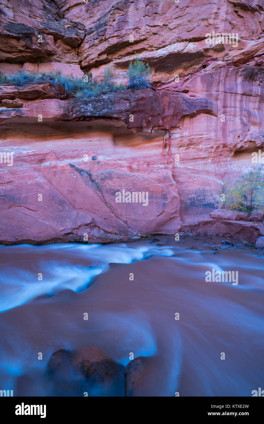 Capitol Reef National Park, Utah State Route 24, Utah, Usa, North ...