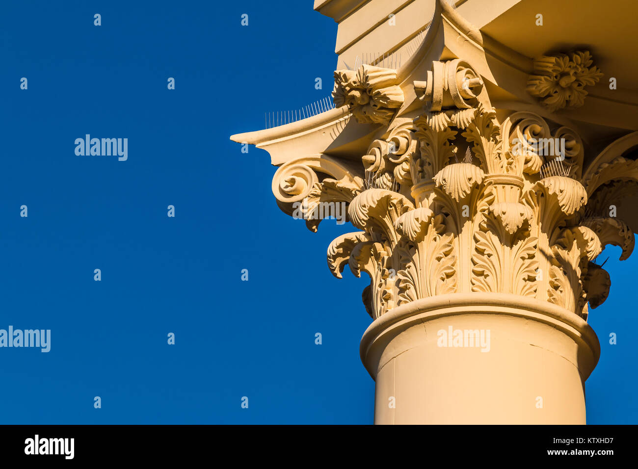 Volute capital hi-res stock photography and images - Alamy
