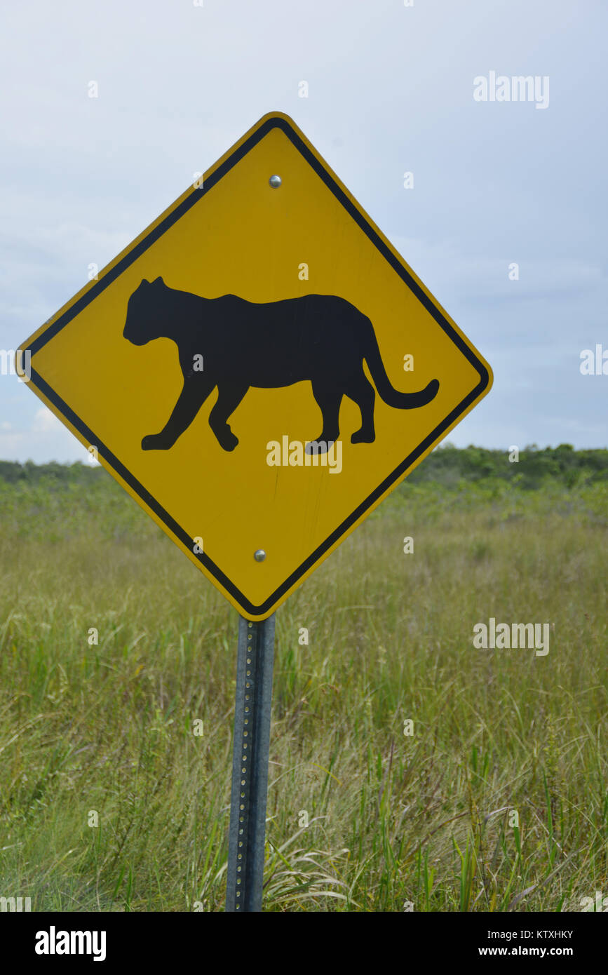 Florida Panther Sign Everglades National Park Florida, USA Stock Photo ...